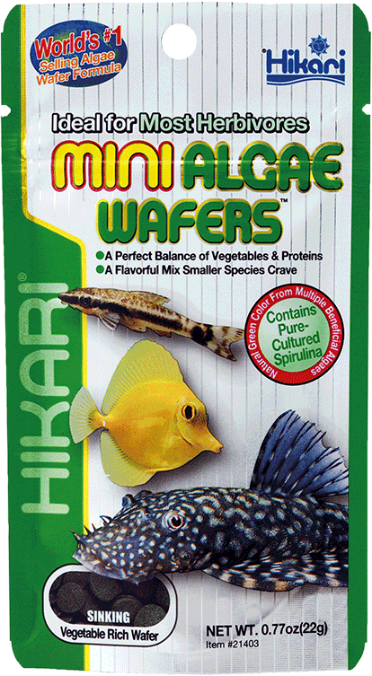 Hikari mini algae wafers € 4,19 - Heevis.nl