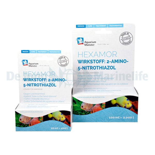 HEXAMOR - 20 ml – Heevis