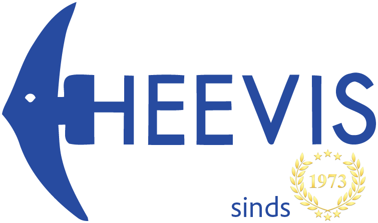 Hydrocotyle leucocephala in terra cotta – Heevis